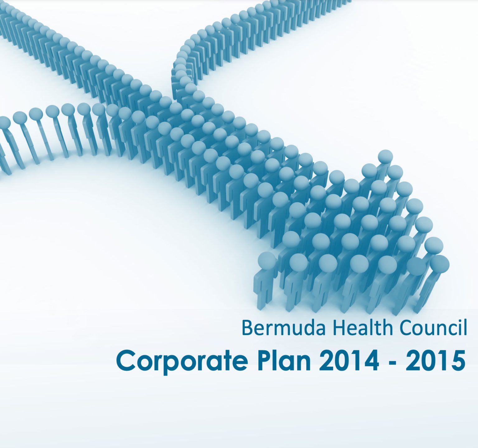 About Us – Bermuda Health Council